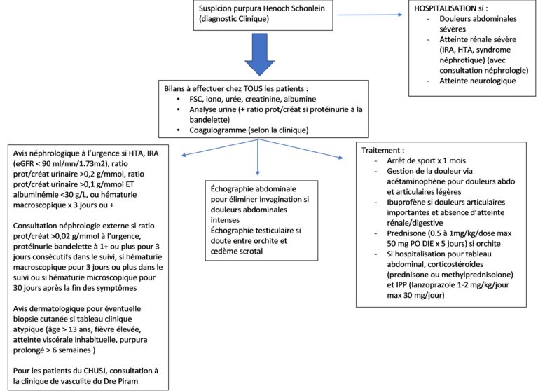 Purpura d’Henoch Schönlein (Vascularite à IgA) - Urgence CHU Sainte-Justine