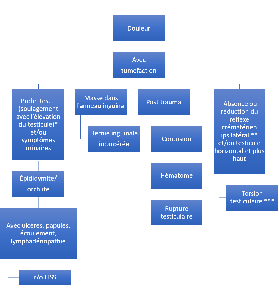 Dlr avec Tuméfaction - Urgence CHU Sainte-Justine